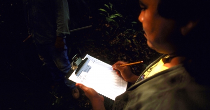 ASI ophæver suspendering af Asiens største certificeringsfirma | fsc