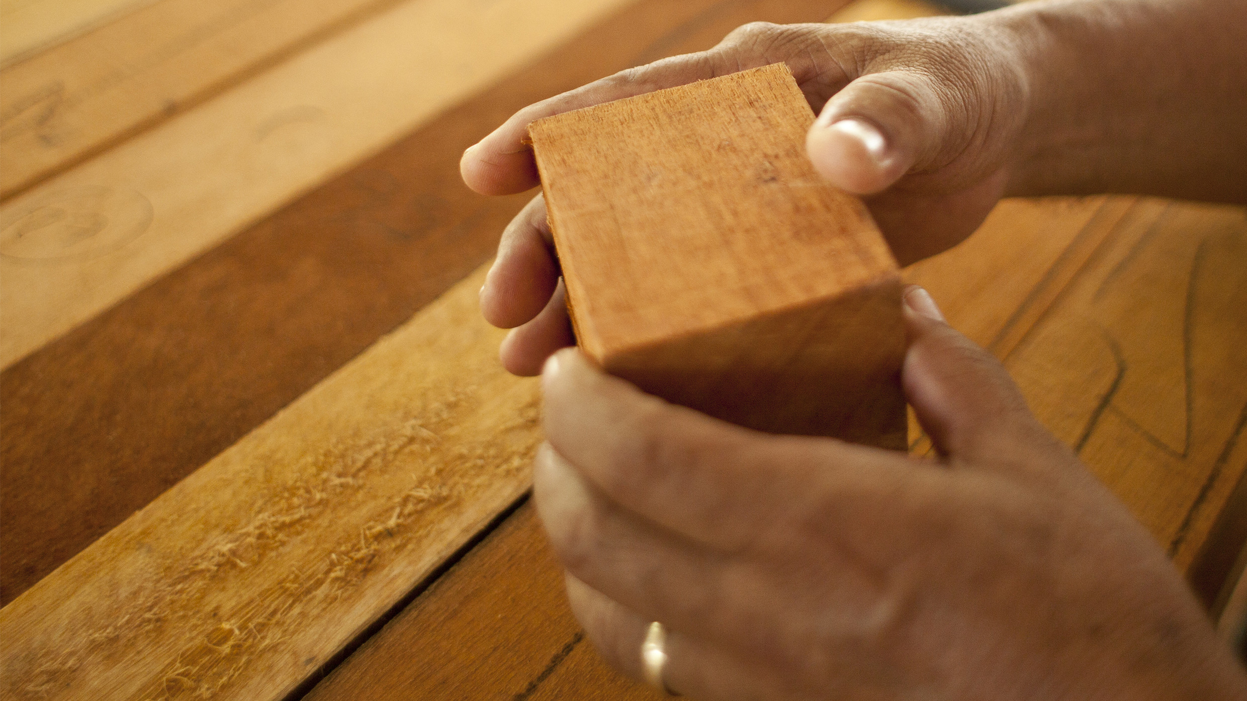 Opdatering på Controlled Wood Company Risk Assessments | Forest ...